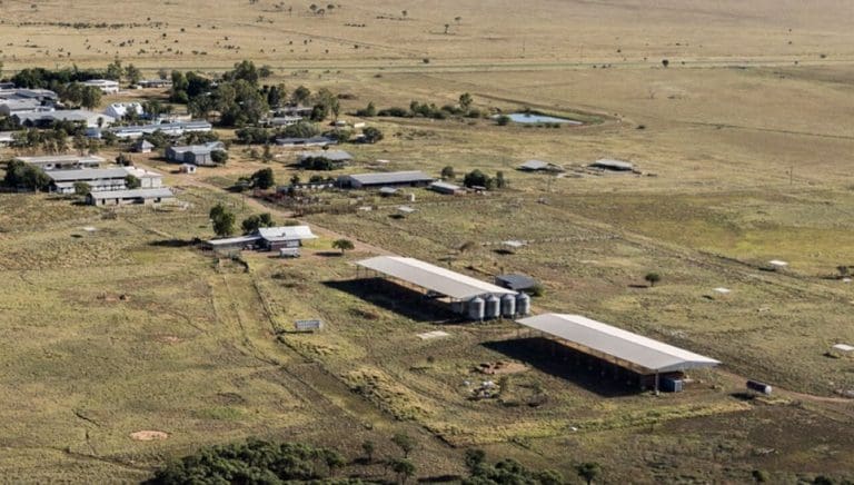 New hope of training future for Longreach Pastoral College - Sheep Central