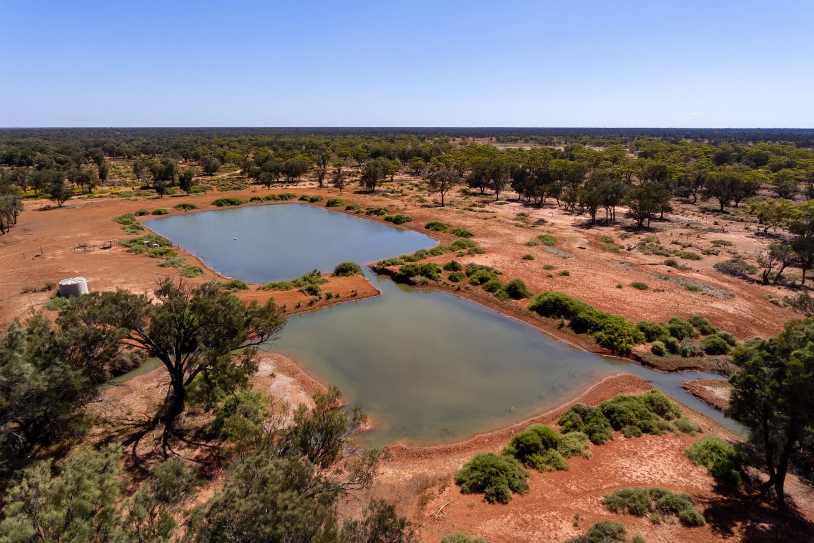 Old Koomooloo offers slice of South Australian history - Sheep Central