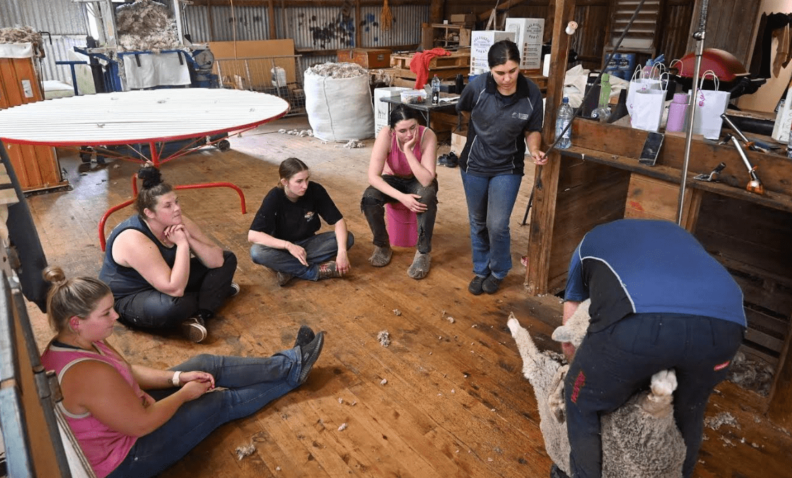 Cinny inspires first Beetson all-women's shearing school - Sheep Central