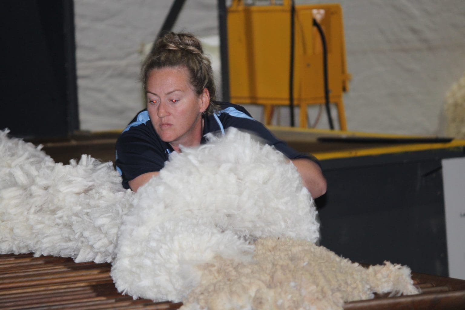 Aussie shearers and wool handlers to bring it at Masterton - Sheep Central