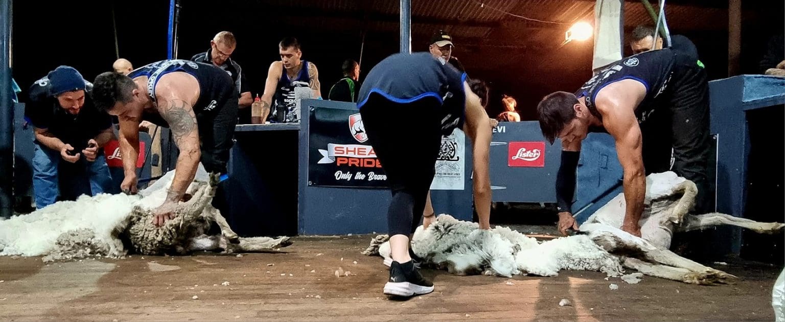 Kiwi brothers set two world shearing records in nine hours - Sheep Central