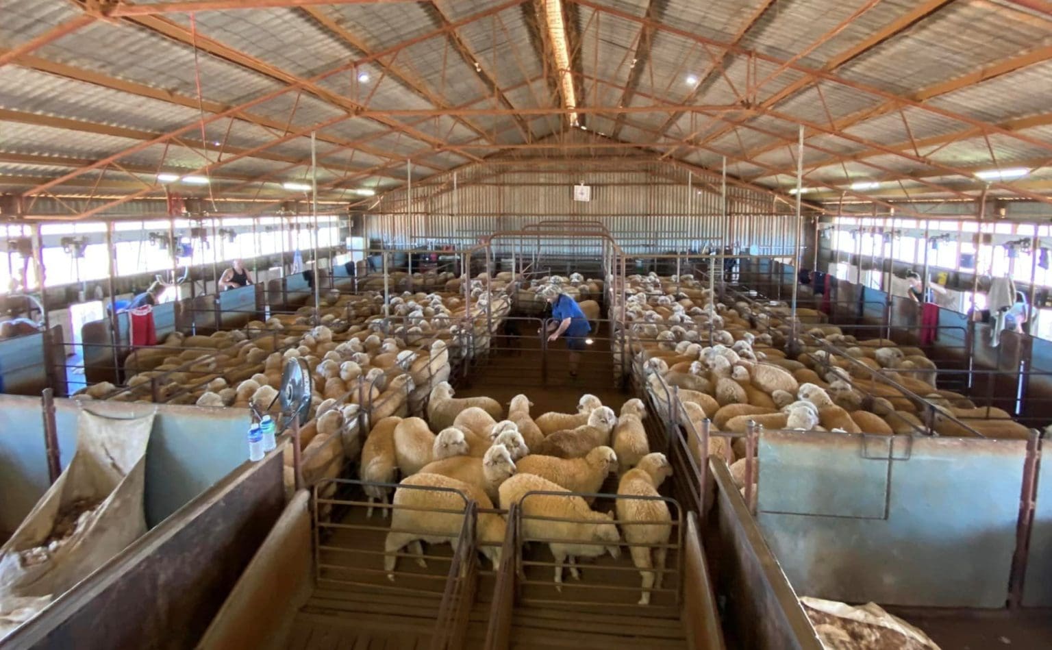 Rawlinna Station sells for green energy, carbon potential - Sheep Central