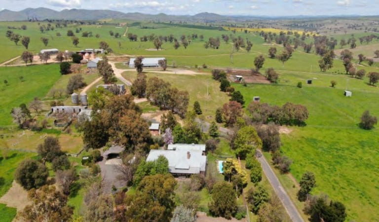 NSW mixed farmers expand with property purchases - Sheep Central