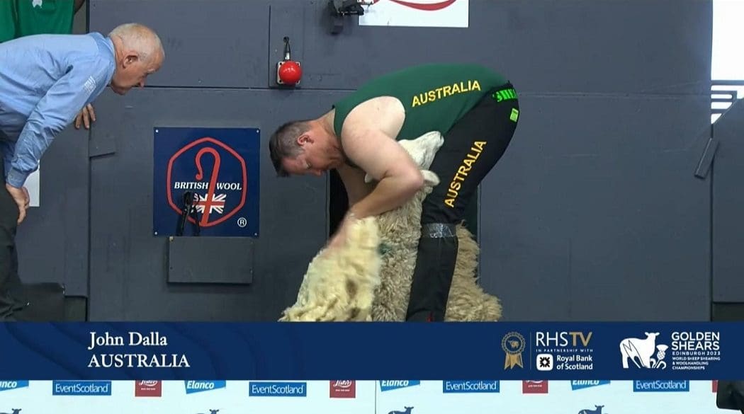 Dalla excels among Aussies at Golden Shears championships - Sheep Central