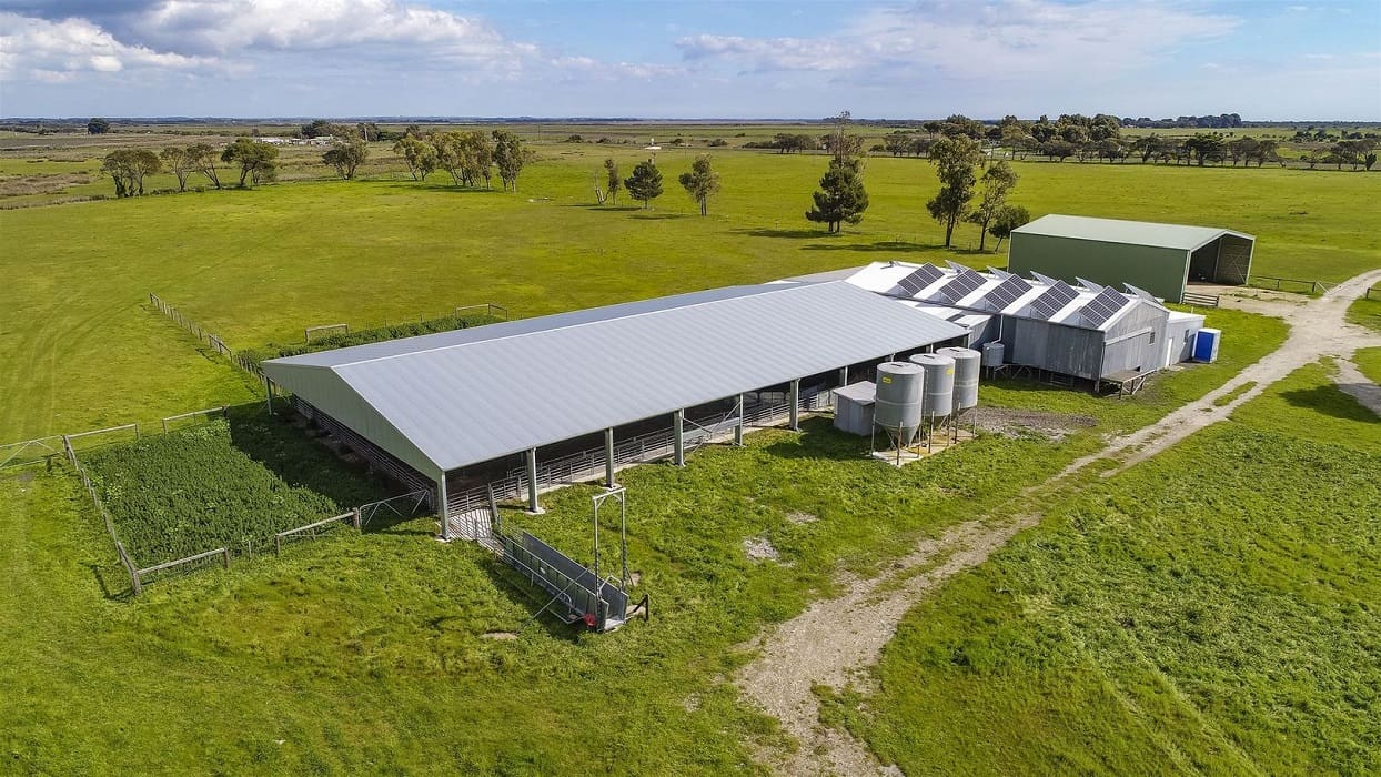 Ultrafine wool award-winning Glen Stuart sells - Sheep Central