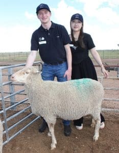 Australian Wool Innovation to seek 2024 training program graduates ...