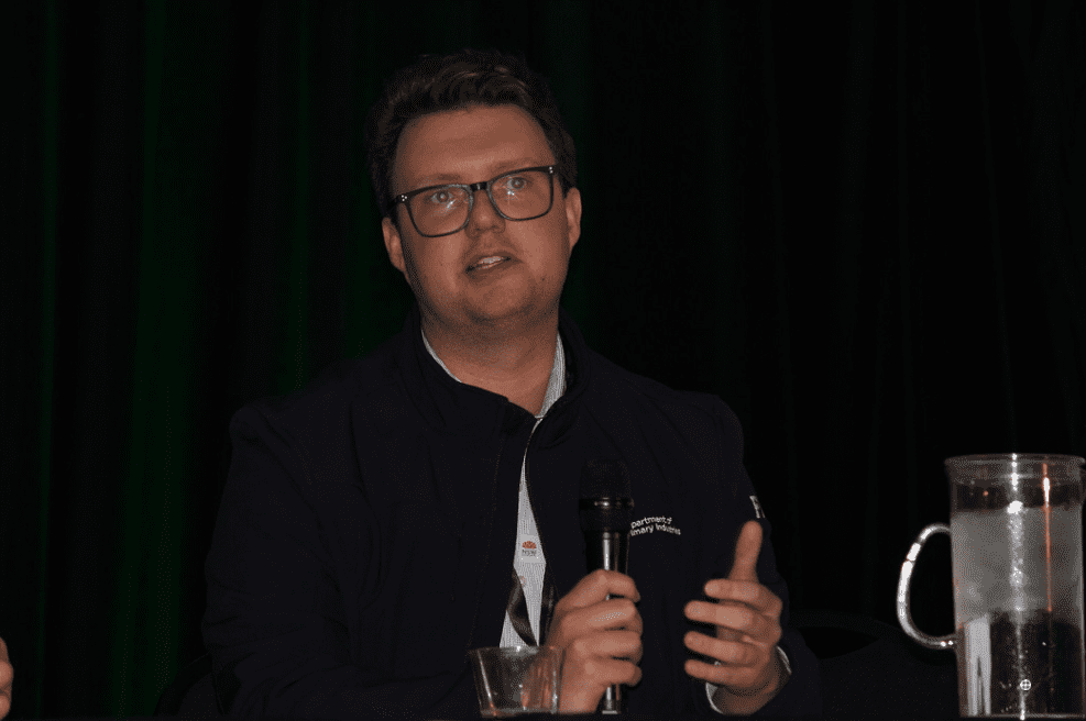 Fodder industry grapples with the idea of a national stocktake - Sheep ...