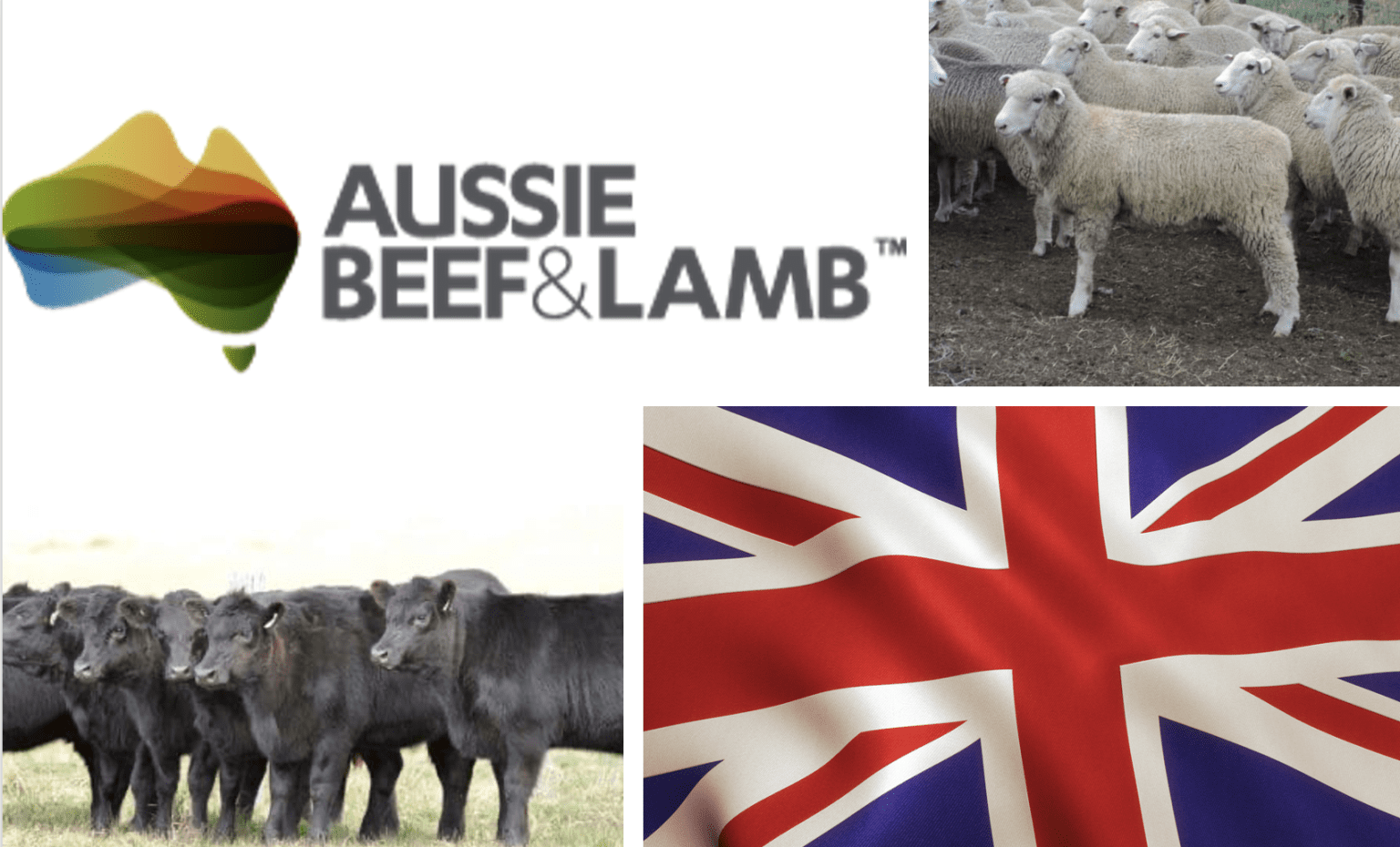 Aussie beef and lamb brand launches in UK following trade agreement ...