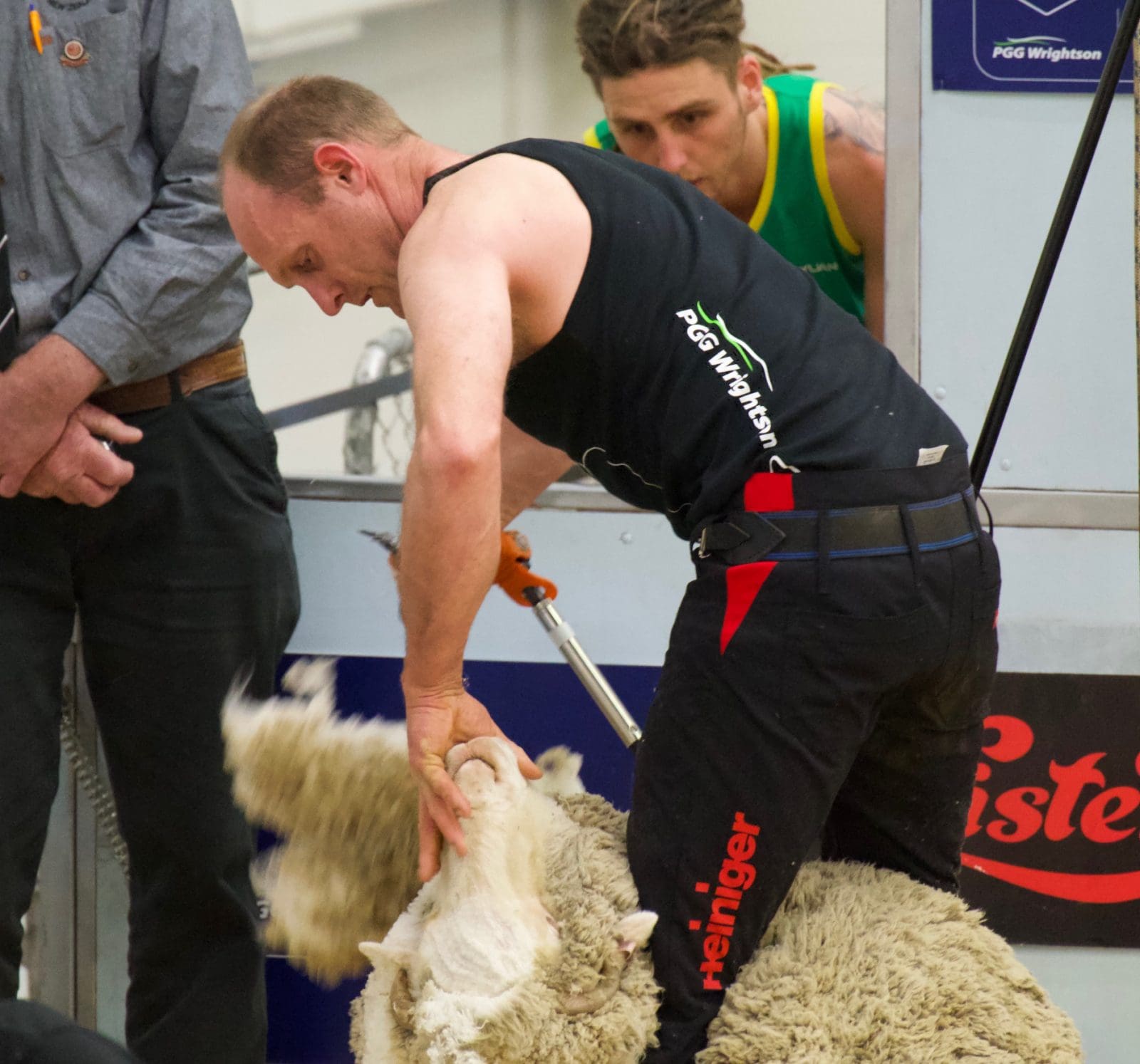 Finewool challenge starts shearing sports season - Sheep Central