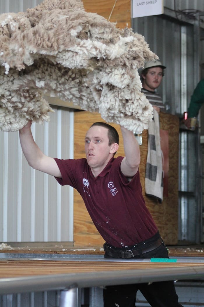 Fitness pays for new shearing and wool handling champions - Sheep Central