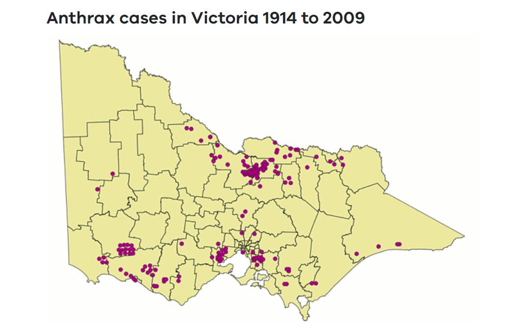 Anthrax found on second Shepparton cattle property - Sheep Central