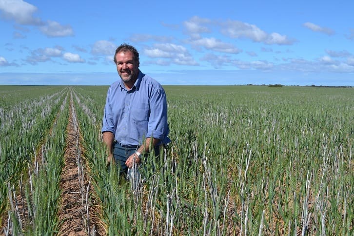 SA’s vast Mudabie pencilled in for $20 million-plus - Sheep Central