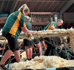 New Zealand wins trans-Tasman test double at Golden Shears - Sheep Central