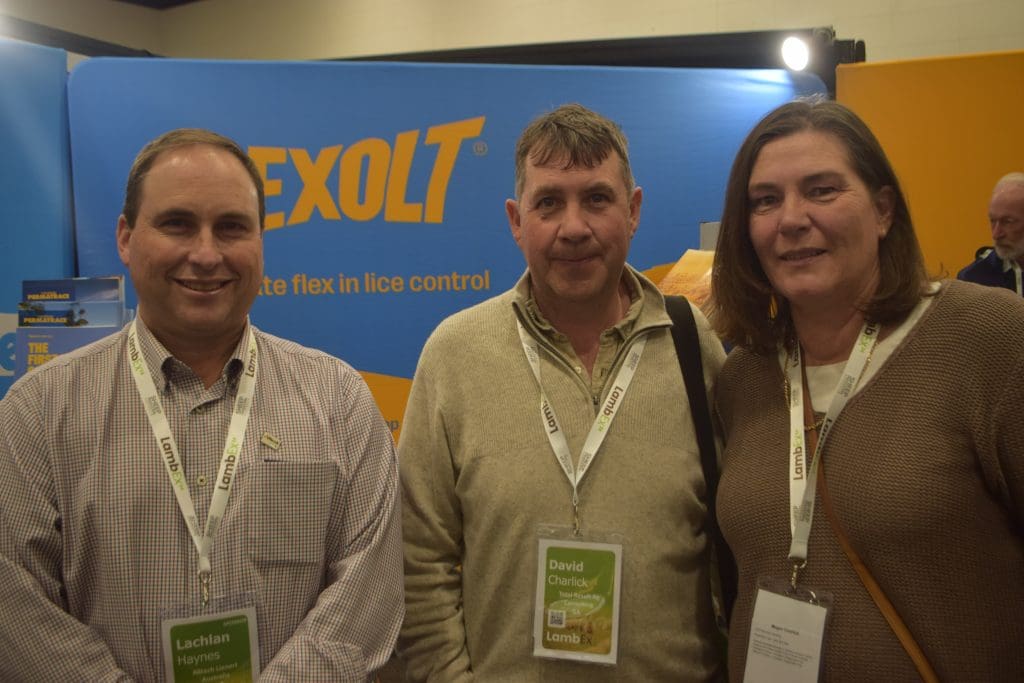 LambEx reminded how the country rode on the sheep’s back + PICS - Sheep ...