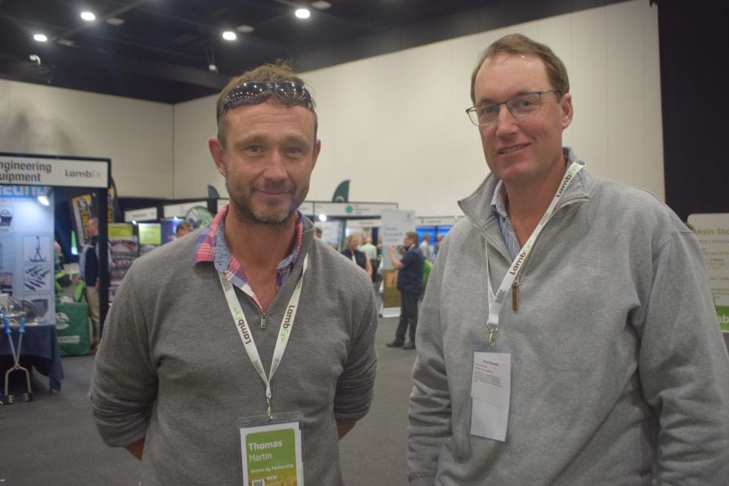 LambEx reminded how the country rode on the sheep’s back + PICS - Sheep ...