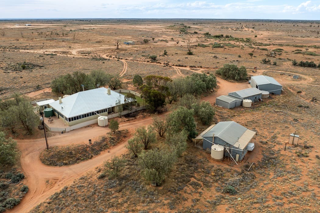 South Australian pastoral stations stay in SA hands - Sheep Central