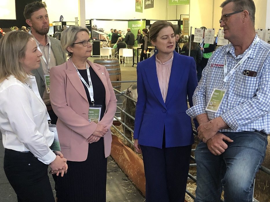 Sheep Producers Australia shirks Keep the Sheep commitment - Sheep Central