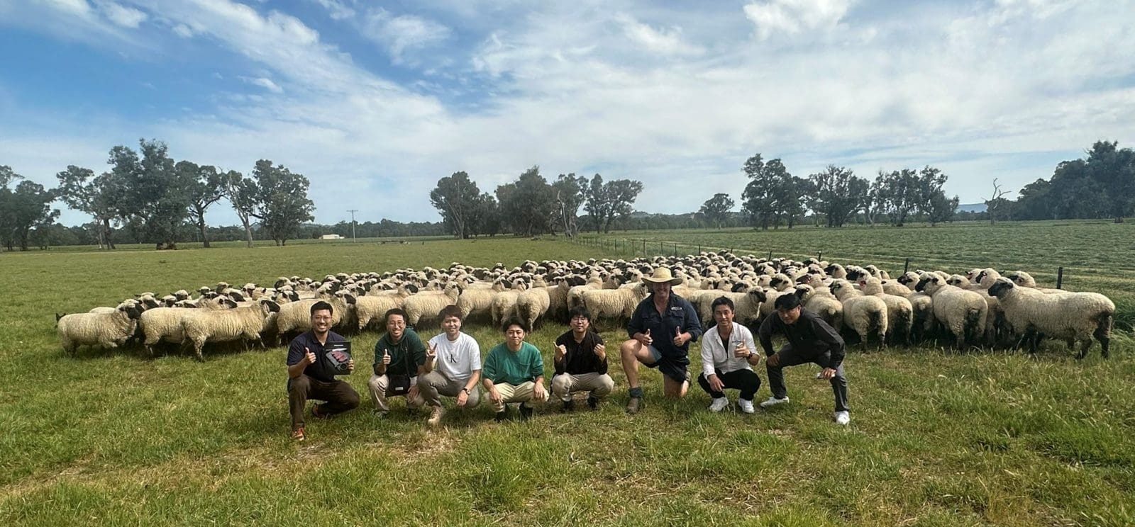 Opportunities abound for high IMF Australian lamb in Japan - Sheep Central