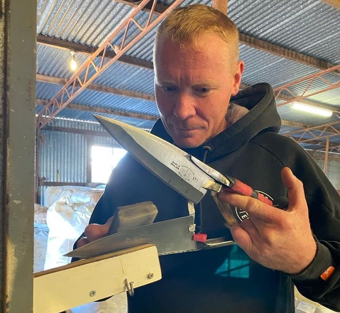 Kiwi shearers and wool handlers chase trans-Tasman clean sweep - Sheep ...