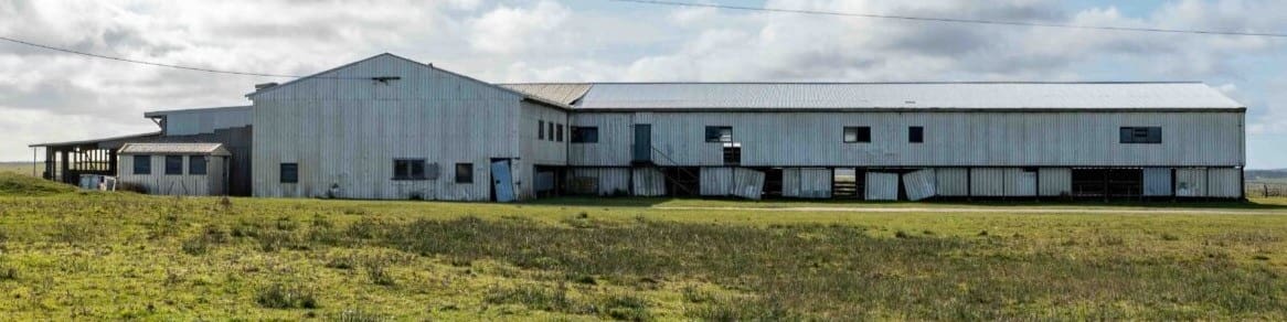 Movement at the station: Tasmania's largest farm for sale - Sheep Central