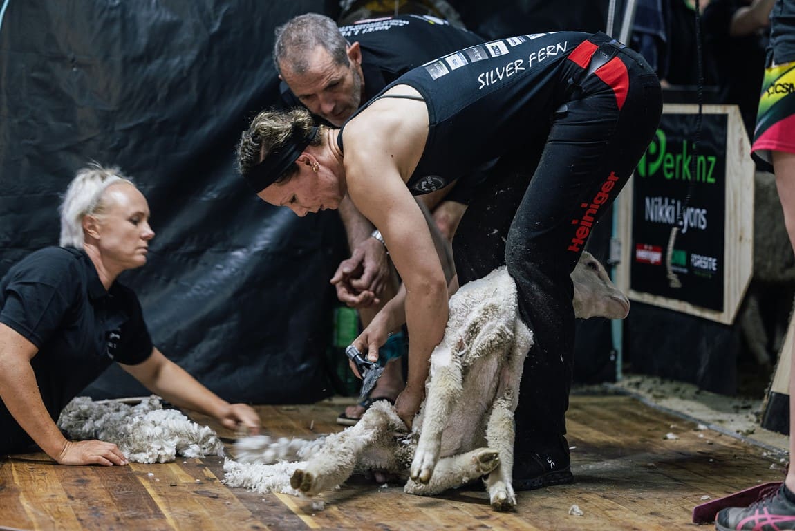 Record-breaker Nikki Lyons sets a mark for female shearers - Sheep Central