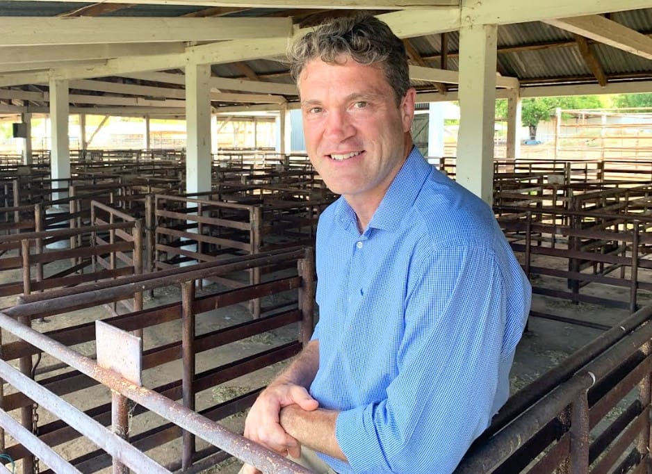 Rabobank sees lamb prices rising in 2025 on lower supply - Sheep Central