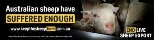 Keep the Sheep Here campaign launched to support export ban - Sheep Central