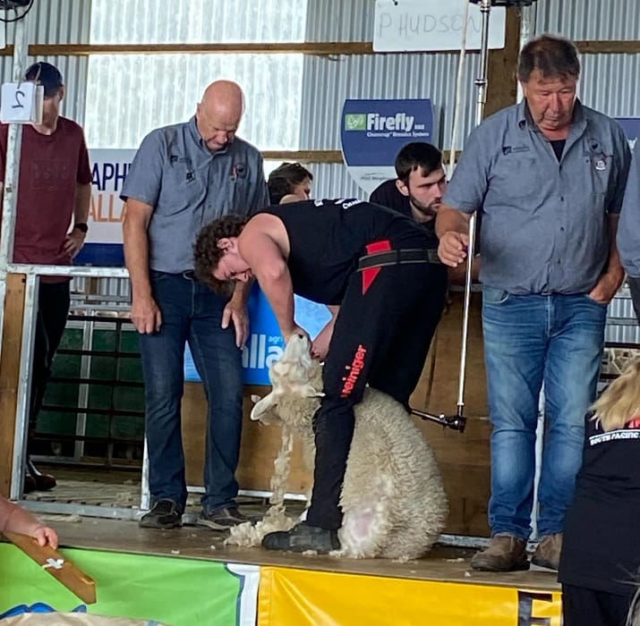 Shearing Buick scores open hat-trick in three days - Sheep Central