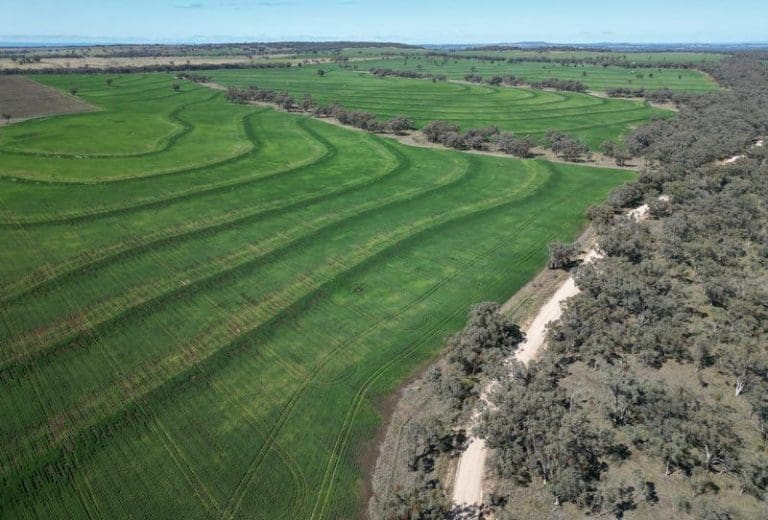 New England grazing and cropping farm makes $20m+ - Sheep Central