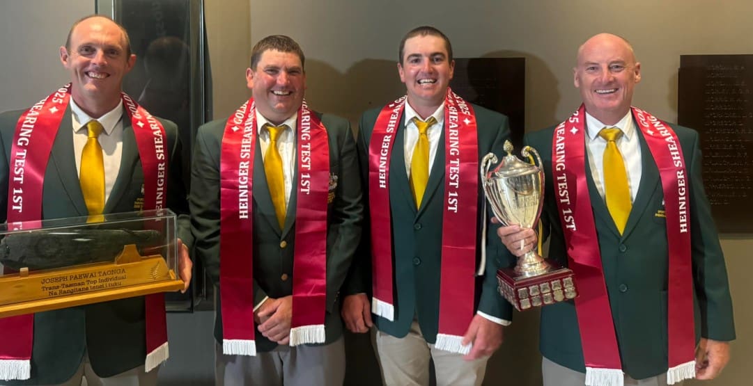 Australian shearers win trans-Tasman test by big margin - Sheep Central