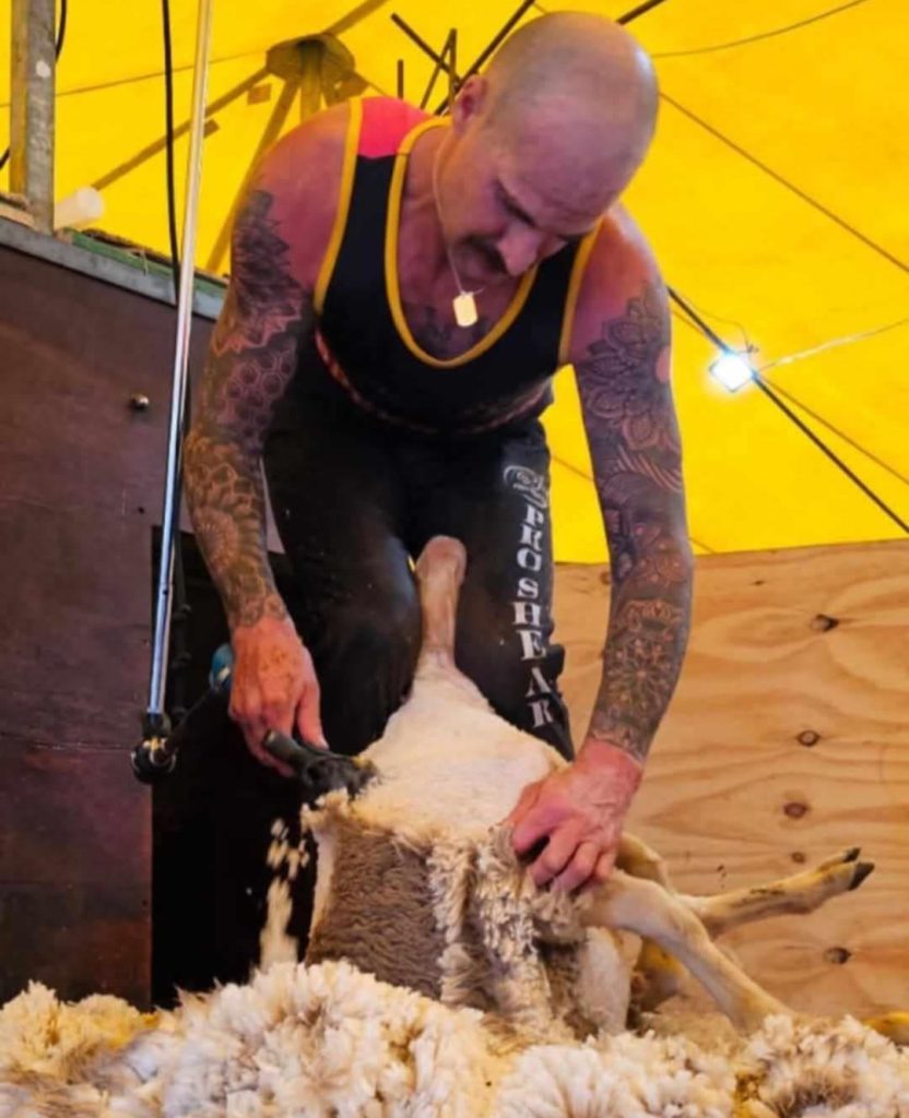 A Kiwi shearing gun bids for world record in South Africa - Sheep Central