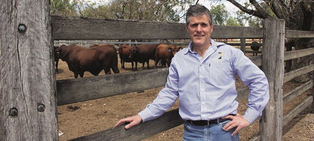 AgForce announces CEO Michael Guerin's departure in 2025 - Sheep Central