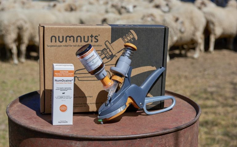 Tri-Solfen & Numnuts: Gold Standard pain relief for lambs - Sheep Central