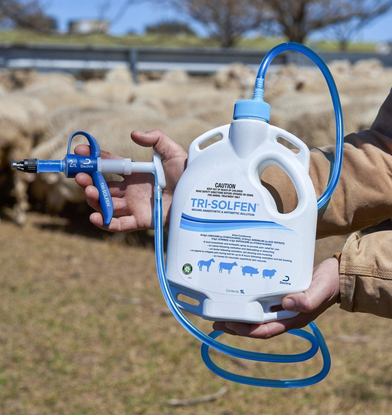 Tri-Solfen & Numnuts: Gold Standard pain relief for lambs - Sheep Central
