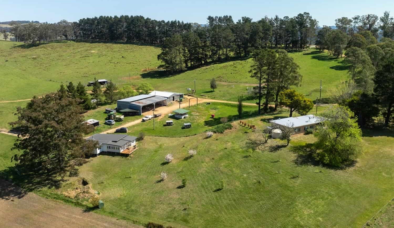 Yarrowitch’s Jamberoo passes in at auction for $27.5m - Sheep Central