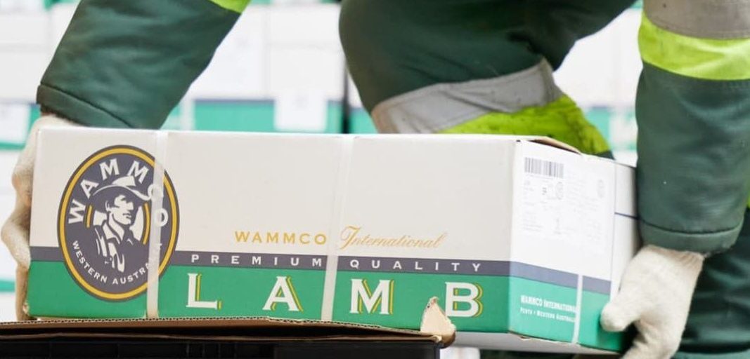 $12 million loan to boost WAMMCO Katanning processing - Sheep Central