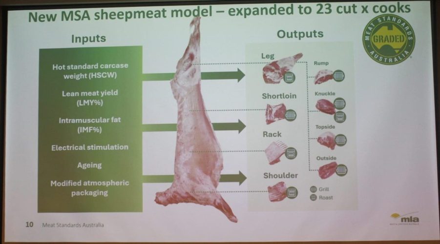 MSA saleyard sheep meat pathway to be released soon - Sheep Central