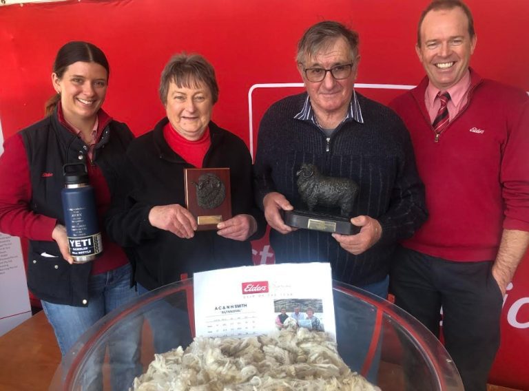 Proud white wool growers get their first Elders black ram - Sheep Central