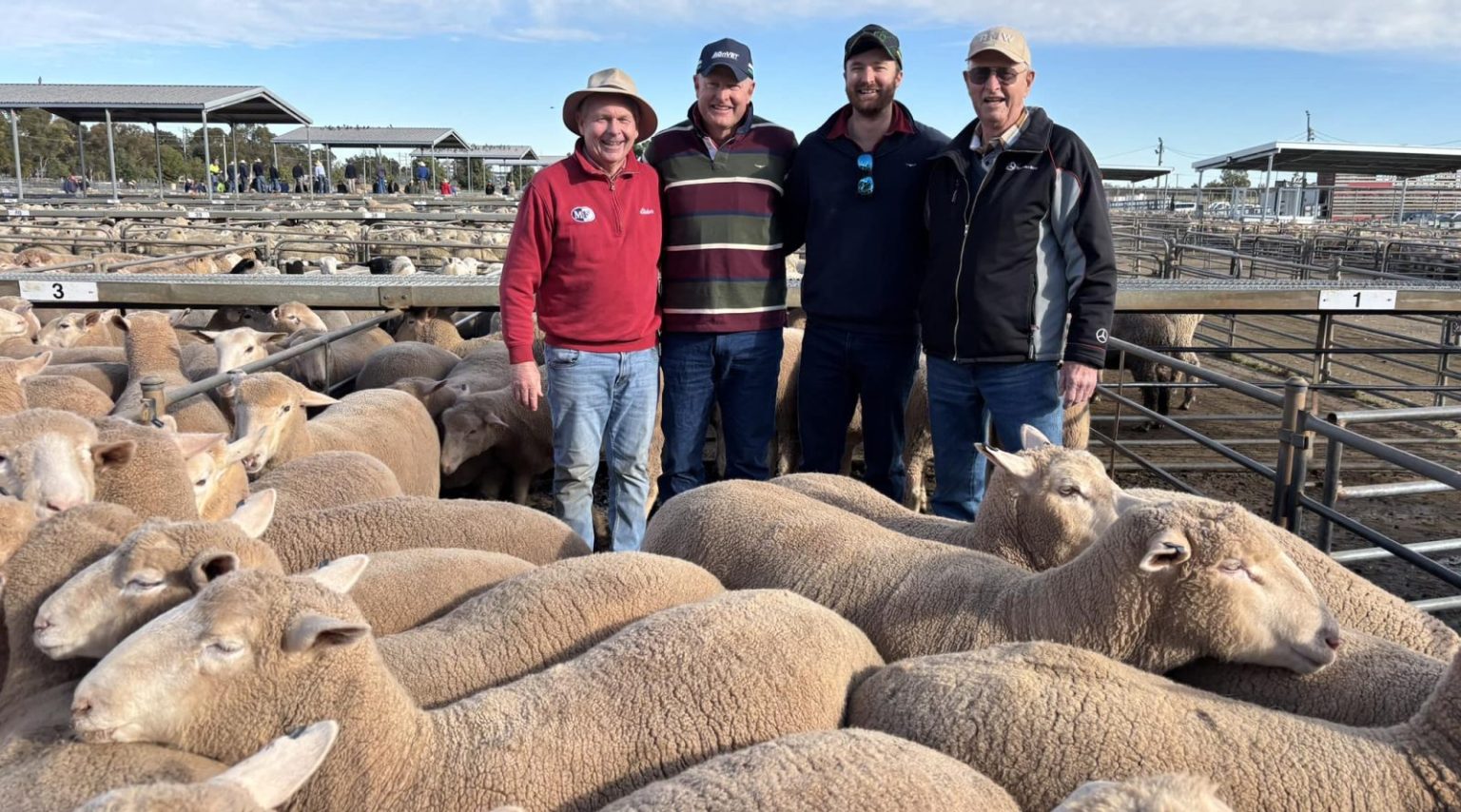 Lamb prices surge past 1200c/kg as records fall - Sheep Central