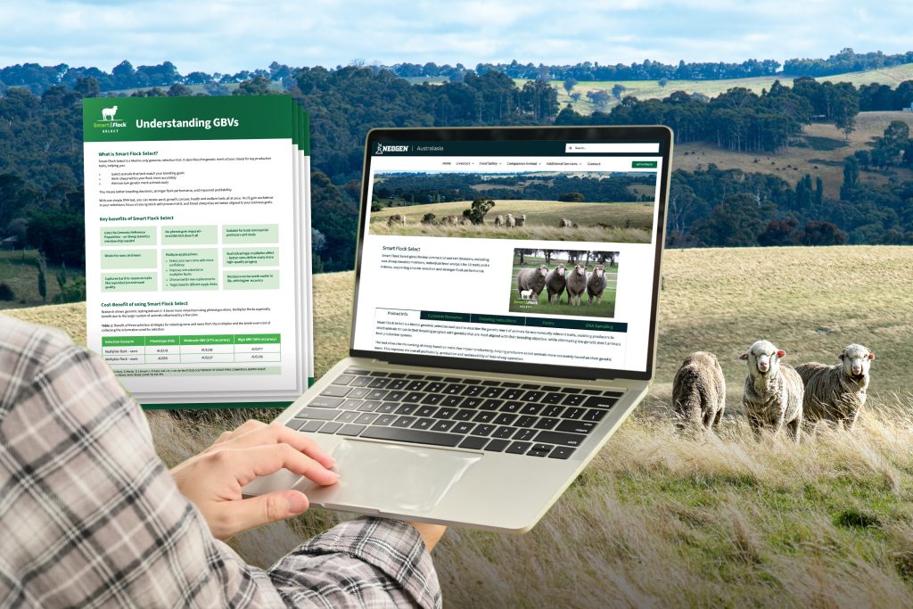 New Merino product makes genomics more accessible to all - Sheep Central