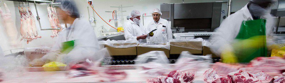 First WA $10-plus lamb contract heads V&V Walsh's supply strategy ...