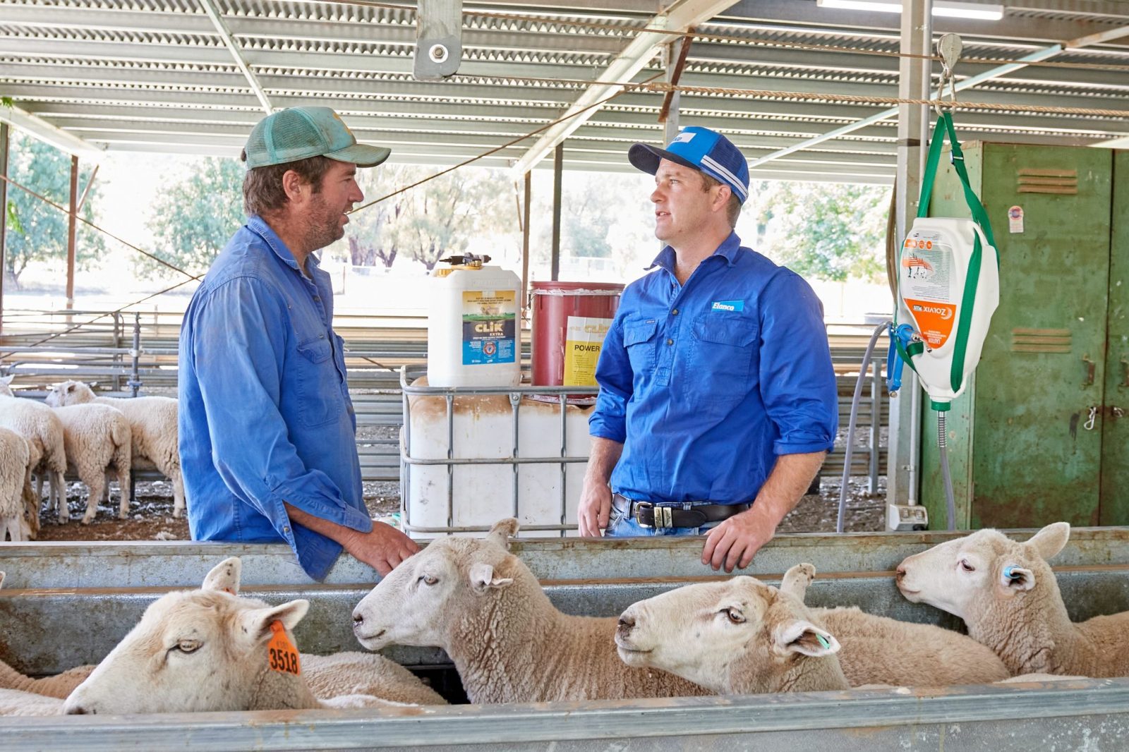 New dual-active jetting fluid registered - Sheep Central