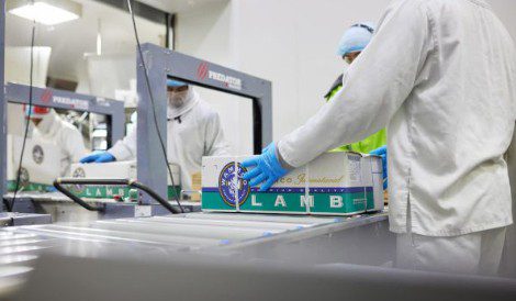 Project estimates retail sheep meat and wool carbon footprint - Sheep ...