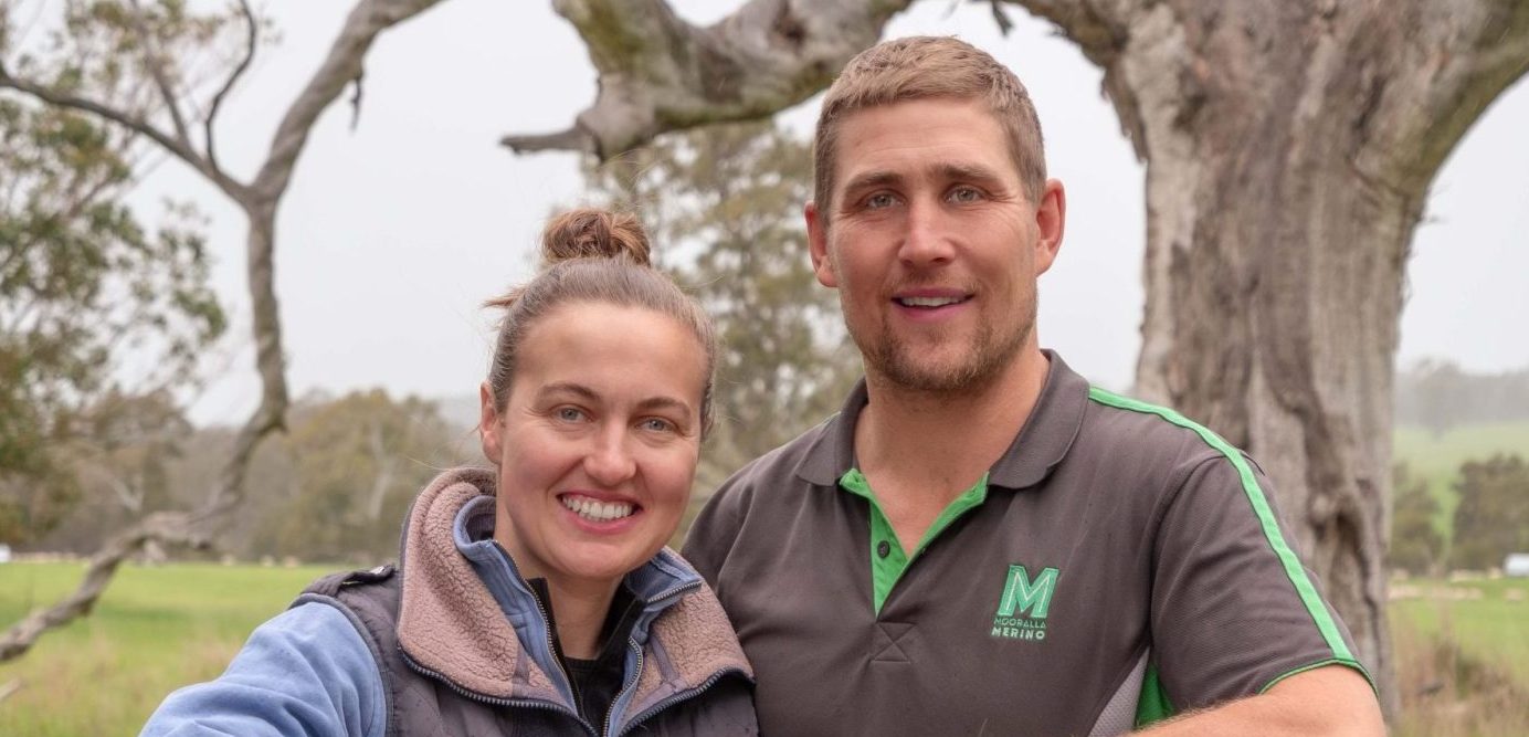 ‘Put your lambs to the test’ in the LambEx26 Carcase Showcase - Sheep ...