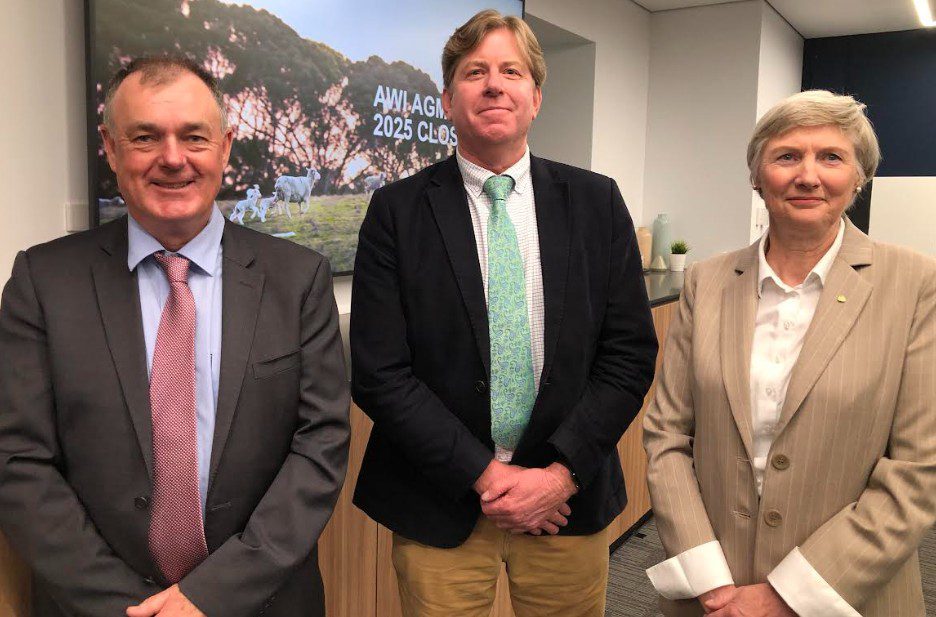 Millington assumes AWI chair role with two new directors - Sheep Central