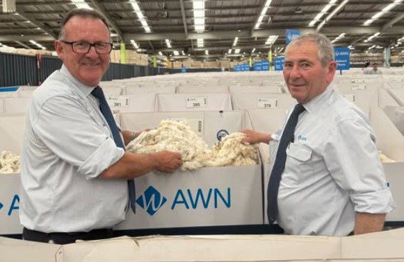 Ultrafine and broad Merino highlights in surging auction market - Sheep ...