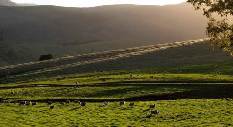 Historic Victorian High Country holding heads latest property listings ...