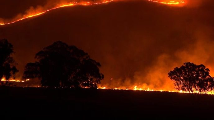 Governments promise nearly $100 million in bushfire support - Sheep Central