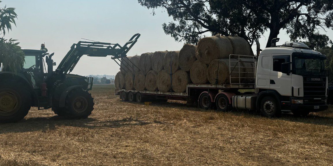 Farmers answer the call to back farmers with donated hay - Sheep Central