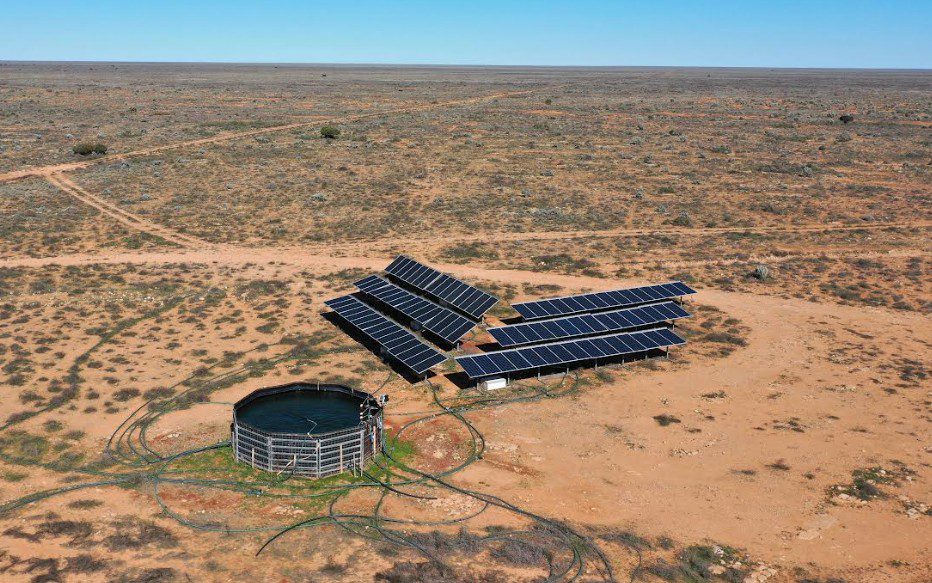 CPC creates giant WA sheep station aggregation with Madurah Plains ...